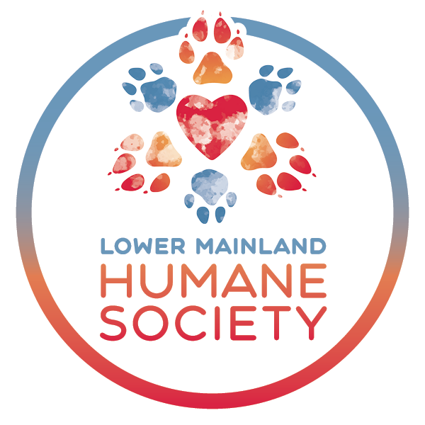 Latest News - Lower Mainland Humane Society